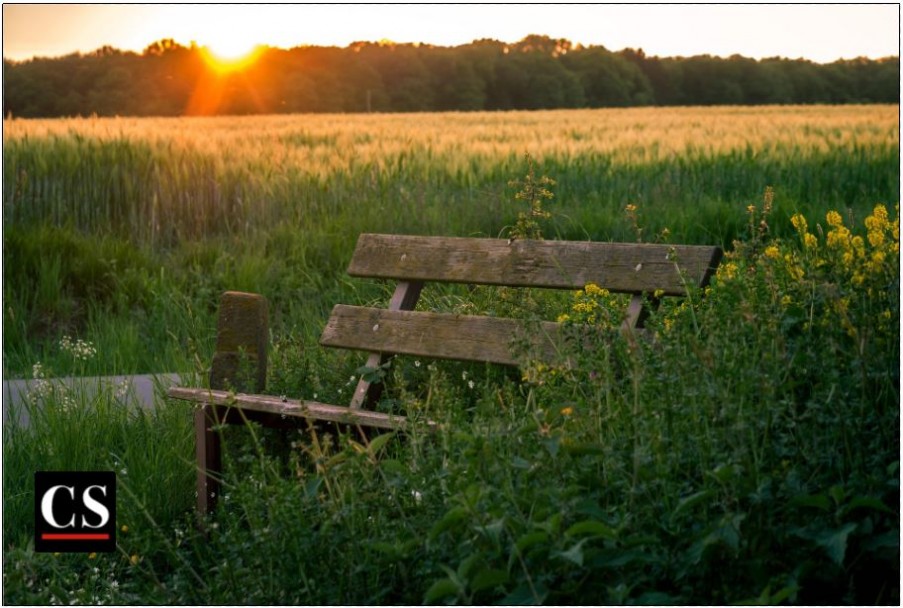 Acts of the Disciples: Discipleship and Assisted Living – Catholic Stand