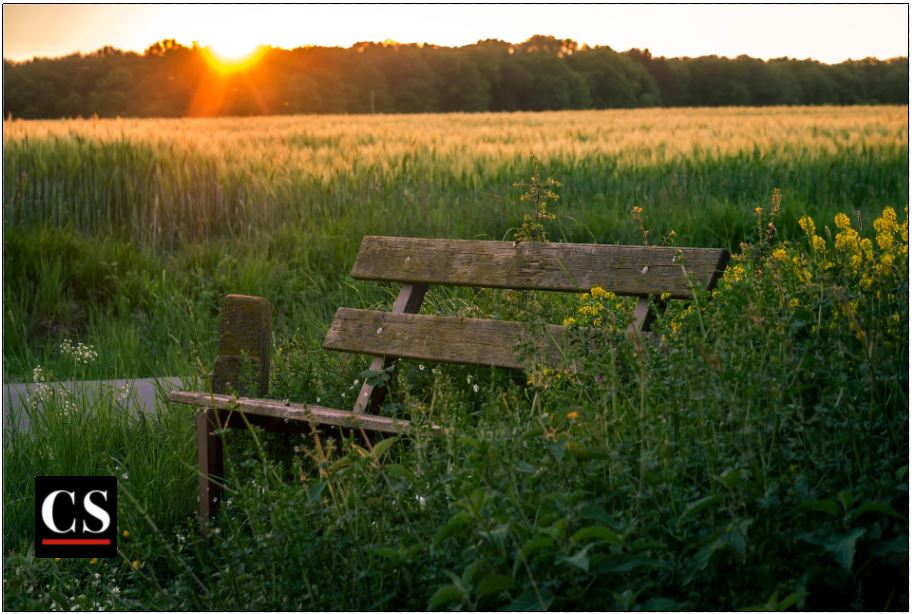 Catholic Stand - Living the Truth the Church Teaches