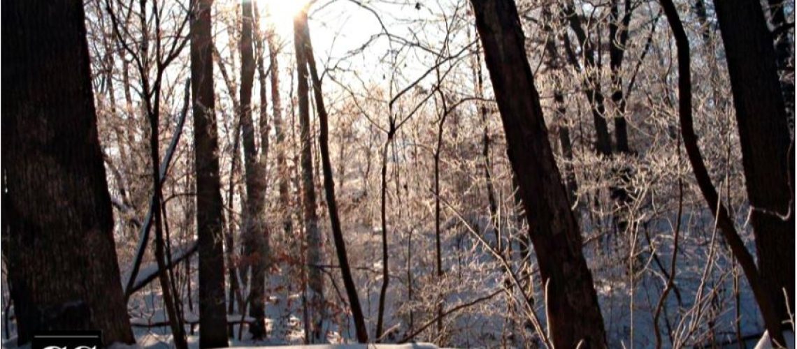 The Created World Is God’s Temple – Catholic Stand