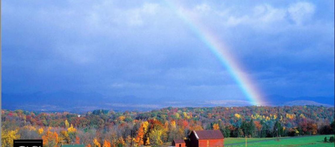 Look for Miracles Every Day – Catholic Stand