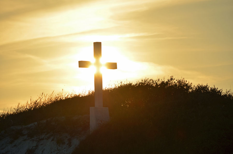 Julie Machado - Catholic Stand